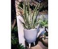 China Non Flammable Outdoor Round Fiber Clay Pots 26cm x 27cm Frost Resistant for sale
