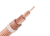 China Powering the Future: Shenghua’s AAAC Bare Conductors Revolutionize Grid Reliability​​ for sale