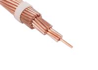 China Powering the Future: Shenghua’s AAAC Bare Conductors Revolutionize Grid Reliability​​ for sale