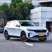 China 2023 2024 Lantu Dongfeng Voyah Free Electric Car High Speed Hybrid EV SUV Hydraulic for sale