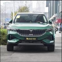 China Maximum Range 860km Dongdeng Voyah Electric Car for 2024 Condition and 130 Km/H Speed for sale
