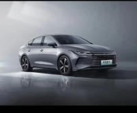 China Stable System Dm-I 5 People Electric Car with Strong Cargo Capacity and White Exterior Color for sale