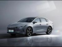 China Stable System Dm-I 5 People Electric Car with Strong Cargo Capacity and White Exterior Color for sale