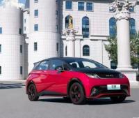 China High Speed 5 Seat Pure Electric Car Byd Dolphin EV Flagship Electric Vehicle By Chinese for sale