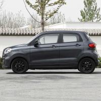 China Leap Motor T03 100 Km/H Max Speed Mini Electric Car with 4 Seats 's Best B2B Choice for sale