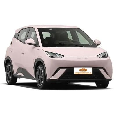 China 2024 Byd Seagull EV Long Range High Speed Electric Car in Pink Color with 1500mm Weelbase for sale