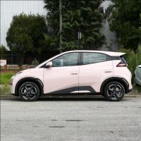 China 2024 Byd Seagull EV Long Range High Speed Electric Car in Pink Color with 1500mm Weelbase for sale
