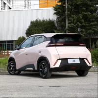 China 2024 Byd Seagull EV Long Range High Speed Electric Car in Pink Color with 1500mm Weelbase for sale