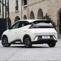 China 2024 BYD Electric Car Seagull Flying Fast Charger Mini 4 Seats Latest Energy Vehicle for sale