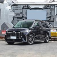 China 2024 Voyah Dream Hybrid EV Version 7 Seats MPV Car Electric Vehicle for sale