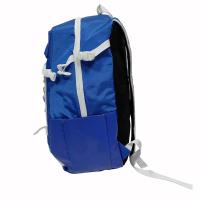 China Oxford Fabric Softball Baseball Bag Blue Bat Back Pack 55 Litre for sale