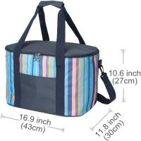 China 25L Insulated Cooler Bags Collapsible Soft Insulated Picnic Bag for sale