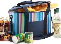 China 25L Insulated Cooler Bags Collapsible Soft Insulated Picnic Bag for sale