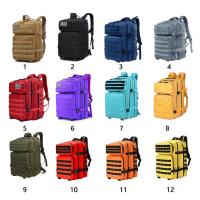 China Custom Gym Hiking Backpack Rucksack Hunting 45l Molle Tactical Backpack for sale