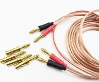 China Transparent 14Ga Gauge Banana Wire for Bi-Wire Bi-Amp HiFi Surround Sound 99.9% OFC Copper for sale