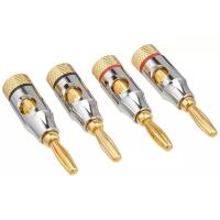 China 12 14 AWG Speaker Wire for MALE-MALE Connection Non-Shielded and Affordable for sale