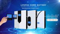 China 51.2V 200Ah LiFePO4 Solar Power Storage Battery with 6000 Cycle Life and 10KWH Capacity for Household Energy Storage for sale