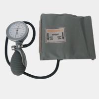 China Adult 0 - 300mmHg Palm Type Aneroid Sphygmomanemeter with Luxury Bigger Gauge WL8009 for sale