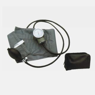 China Medical Diagnostic Tool 0 - 300mmHg Aneroid Sphygmomanometer with Metal Buckle Cuff WL8004 for sale