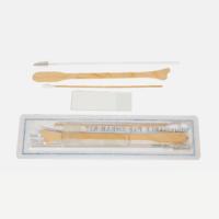 China Single Use Disposable PAP Smear Kit With Microscope Slide, Applicator, Cervical Scraper WL12004 for sale