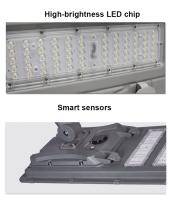 China 80 Watt Solar Street Light Auto ON OFF Timing Dimming PIR Sensor Optional for sale