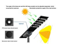 China 100W Waterproof Solar Street Light with Remote Control - 11000lm Output & 12.8V/48AH LiFePo4 Battery for sale