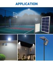 China Die Cast Aluminum Solar Flood Light 20W-60W LiFePo4 Battery IP66 for Parking Lots for sale