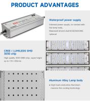 China UNIKE 140lm/W LED Canopy Light 50W-200W IP65 Gas Station Lighting with Dimming for sale