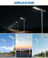 China Smart Remote Control All-in-One Solar Street Light MPPT Controller Dusk to Dawn for sale