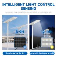 China Smart Remote Control All-in-One Solar Street Light MPPT Controller Dusk to Dawn for sale