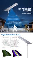 China IP65 Waterproof Solar LED Street Light with Motion Sensor for Residential Roads for sale