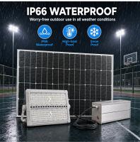China IP66 Outdoor Solar Flood Light with Die Cast Aluminum Housing for sale