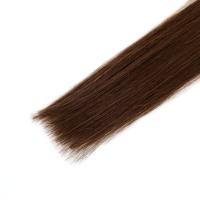 China 6D Russian Hair Cuticle Aligned Extensions 25g Pre-Bonded I-Tip 14-28 Inch for sale