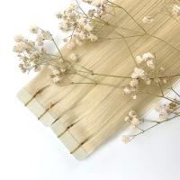 China Double Drawn Tape In Hair Extensions Real Remy European 100g 20 Inch No Shedding for sale