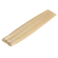 China Remy Human Hair Machine Weft Extensions Straight Blonde 100g 14-26 Inch Durable Double Weft for sale