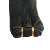 China 100g Remy Human Hair Machine Weft 100 Unprocessed Raw Indian Hair Cuticle Aligned 14-26 Inch for sale