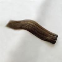 China Remy Human Hair Straight Weft Extensions 100g Brazilian Hair Dyed Color 14-26 Inch for sale