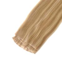 China Double Drawn Flat Track Russian Remy Human Hair Skin PU Weft Extensions 100g 14-26 Inch for sale