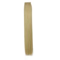 China 100% Remy Human Hair Flat Wefts 100g Dyeable Straight Hair 14-26 Inch for Professional Styling for sale
