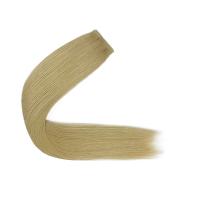 China 100g Remy Human Hair Flat Weft 14-26 Inch Multi-Color Double Drawn Invisible Hair Weft for sale