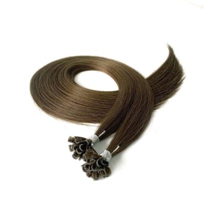 China 100% Virgin Human Hair Double Drawn Raw U Tip Extensions 12-26 Inch 0.7-1g Strand for sale