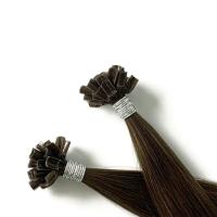 China 100% Virgin Human Hair Double Drawn Raw U Tip Extensions 12-26 Inch 0.7-1g Strand for sale