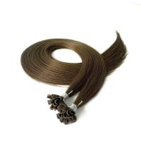 China 100% Human Hair U Tip Straight Hair Extensions 12-26 Inch Multi-Color Russian Remy Hair for sale
