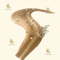 China Virgin Cuticle Aligned Human Hair Tape in Hair Extensions Piano Highlight Color 40g 60g for sale