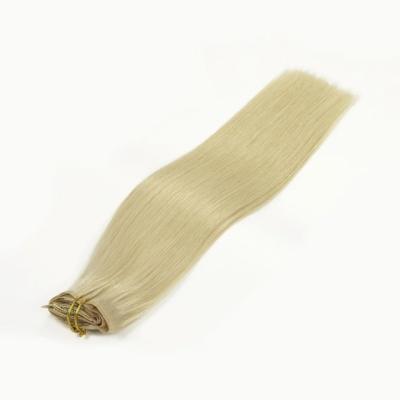 China 100% Remy Human Hair Clip In Hair Extensions 14-28 Inch No Shedding Dyeable for sale