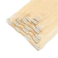 China 100% Remy Human Hair Clip In Extensions 14-28 Inch 100-180g Custom Length Color for sale