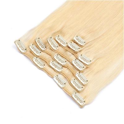 China 100% Remy Human Hair Clip In Extensions 14-28 Inch 100-180g Custom Length Color for sale