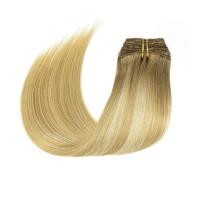 China Unprocessed Brazilian Human Clip In Hair Extension Highlight Clip 120g 14-28 Inch for sale