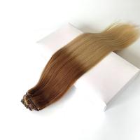 China Unprocessed Brazilian Human Clip In Hair Extension Highlight Clip 120g 14-28 Inch for sale