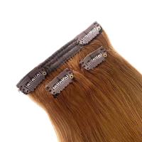 China 100% Russian Remy Human Hair Clip In Extensions Bodywave 14-28 Inch 100-180g for sale